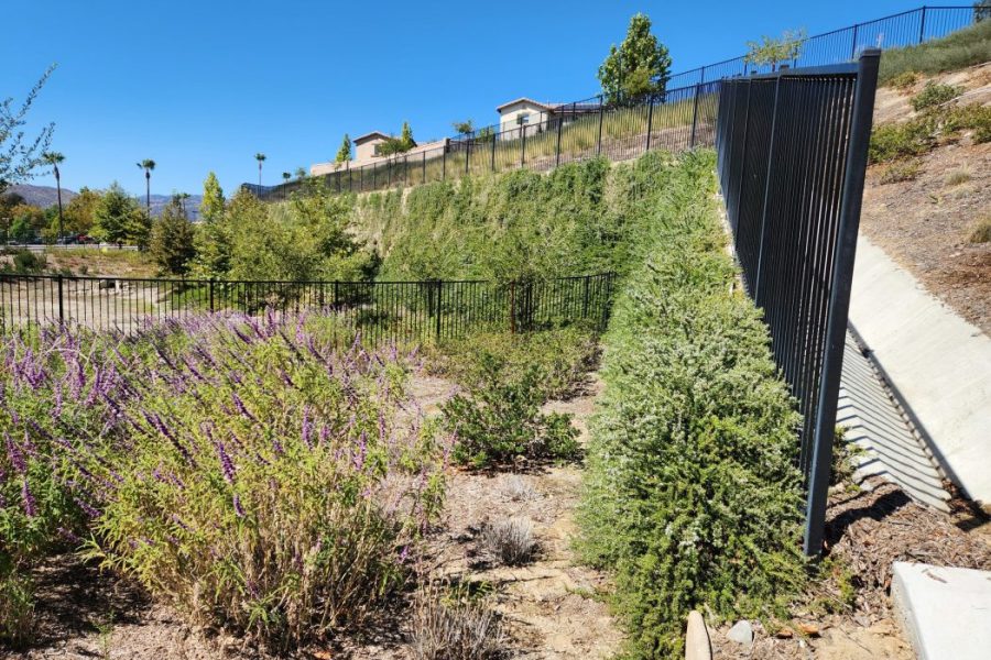 Plantable Concrete Systems. Permeable Pavers. Turf Driveways and ...